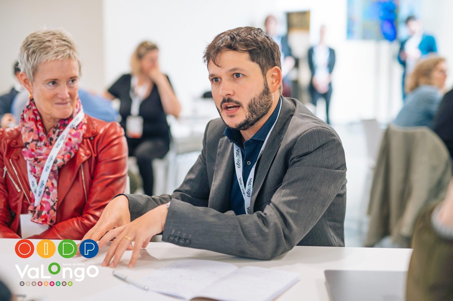 Phoenix - Phoenix Horizon